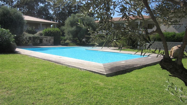 Appartement Arzzetta Plages Et Commerces 1,7 Km - Lecci