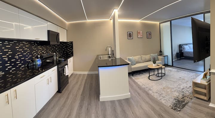 Modern Quiet Condo Near Downtown Houston - Houston, TX