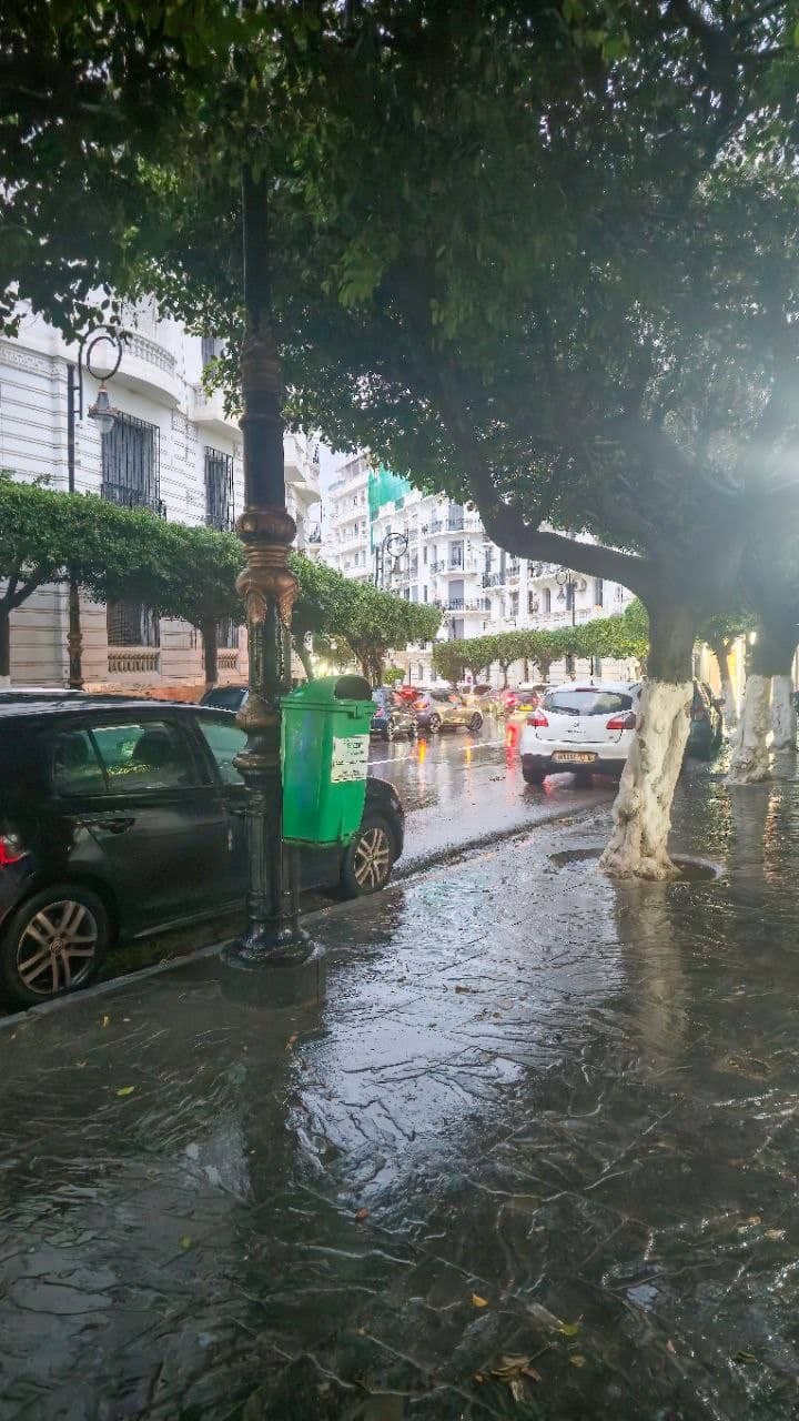 Votre Confort Au Centre D’alger - Algiers