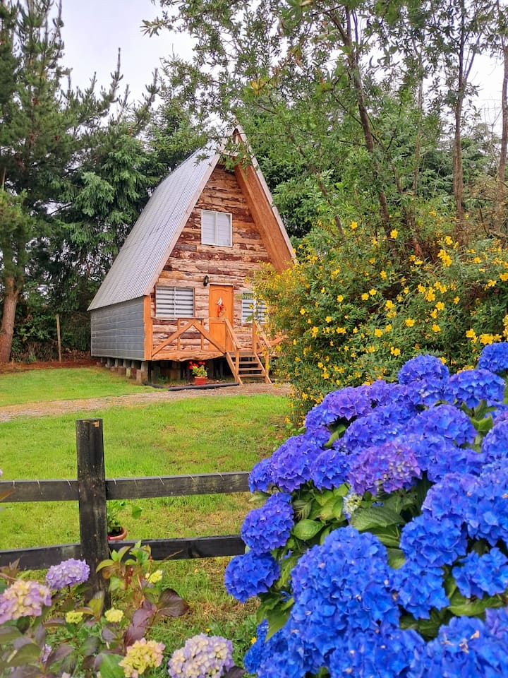 Cabaña Trufa En Puerto Varas - Puerto Varas