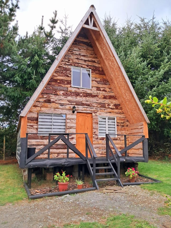 Cabaña Trufa Acogedora En Puerto Varas - Llanquihue