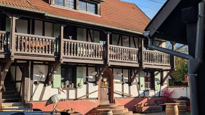 Perle Du Ried N°6 – Proche Europa-park - Benfeld