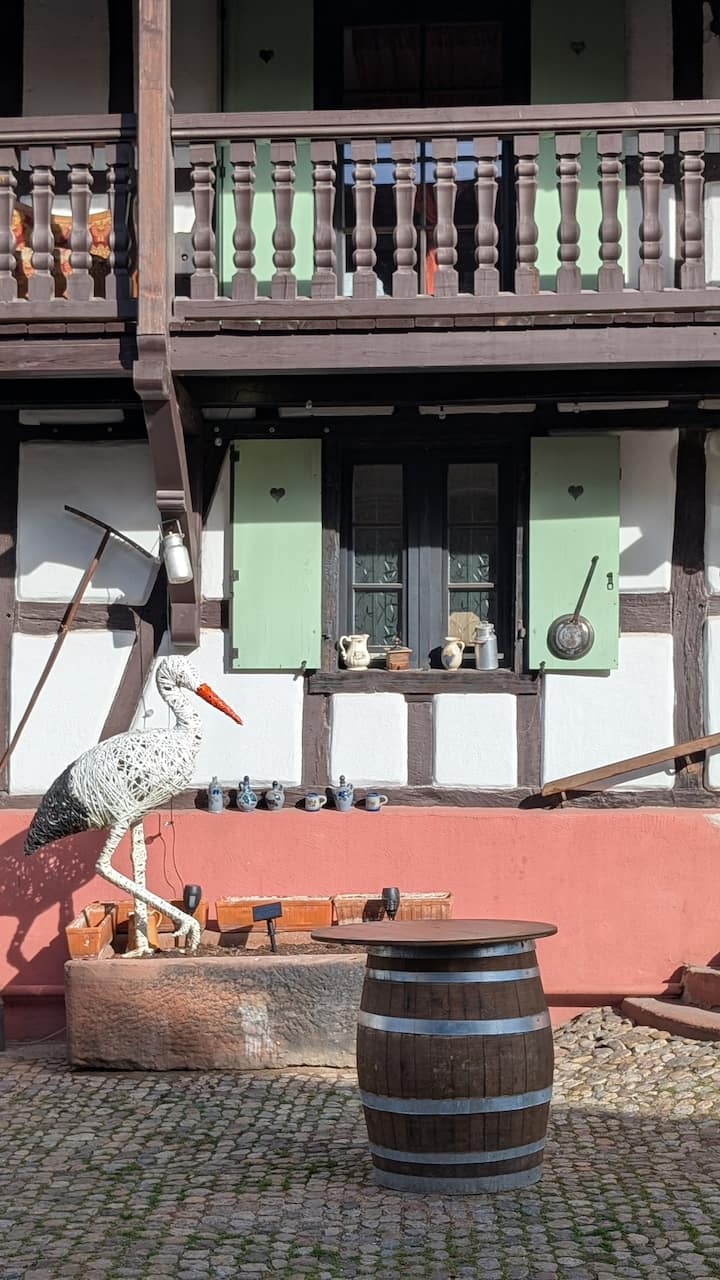 La Perle Du Ried N°8 Proche Europa-park - Rhinau