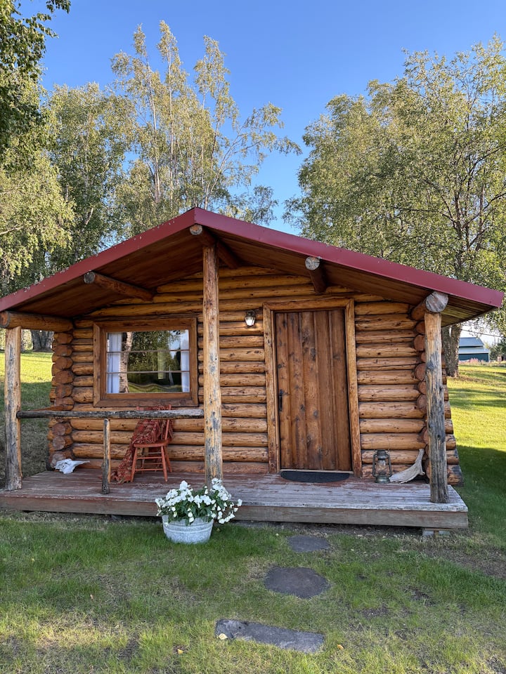 Historic Cabin At Wings Over Skywagon - Soldotna, AK