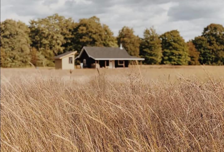 Northern Escape | Hot Tub, Sauna, Cold Plunge - Honor, MI