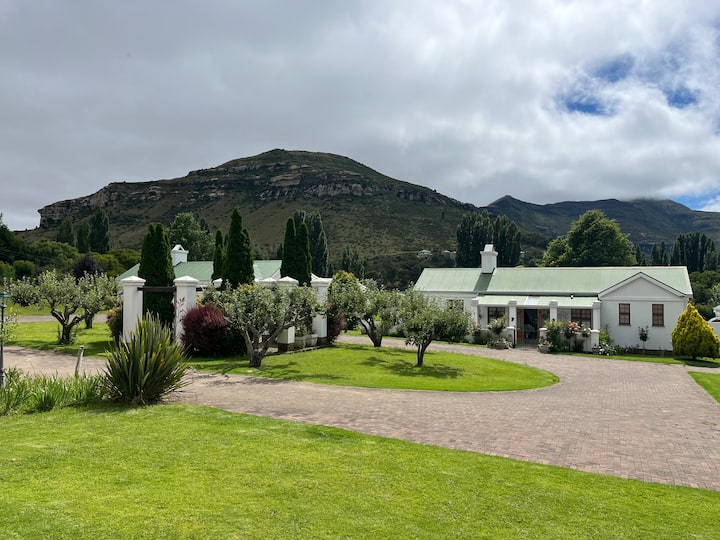 Mesnard @ Gino's 6 - Clarens