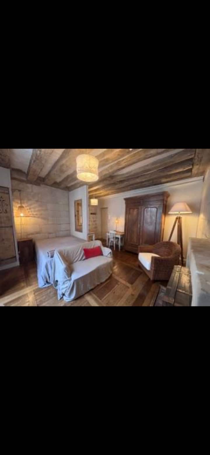 Appartement Tours Centre - Tours