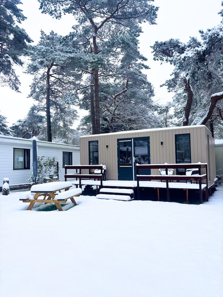 4-persoons Tiny Lodge | Bos Park Bilthoven - Zeist