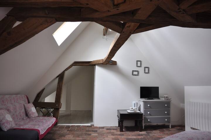 Le Relais Des Saints Pères - Chambre Xiv - Auxerre