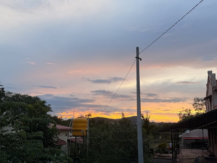 Tusker And Gaur - Bandipur - Bandipur