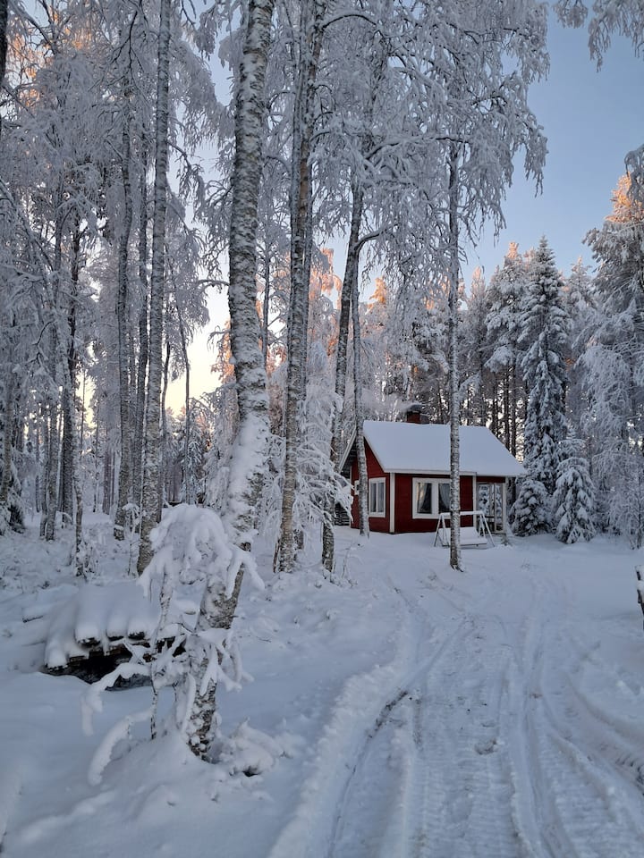 Pieni Mökki Ranuanjärven Rannalla - Ranua