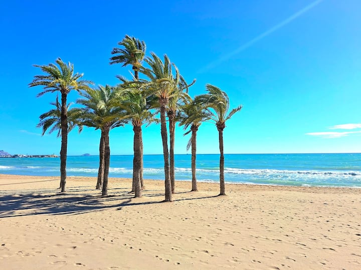 Torrevieja Center Locos Beach 50m Apartment - Torrevieja