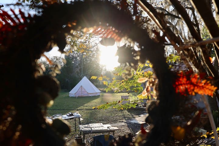 The "You Belong Among The Wildflowers" Cottage - Hawthorne, FL