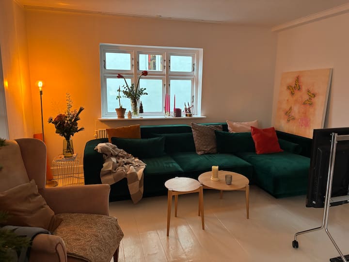 Hyggelig, Stor Og Central Bolig I ØGaderne - Aarhus