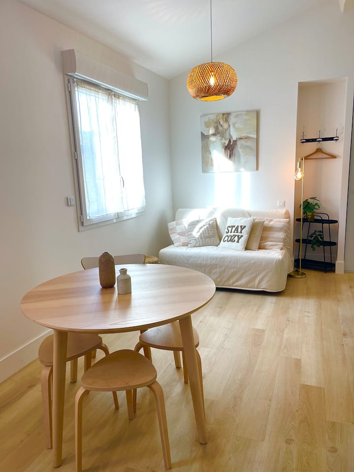 Toulouse Face Au Capitole -Tout Neuf ! - Toulouse