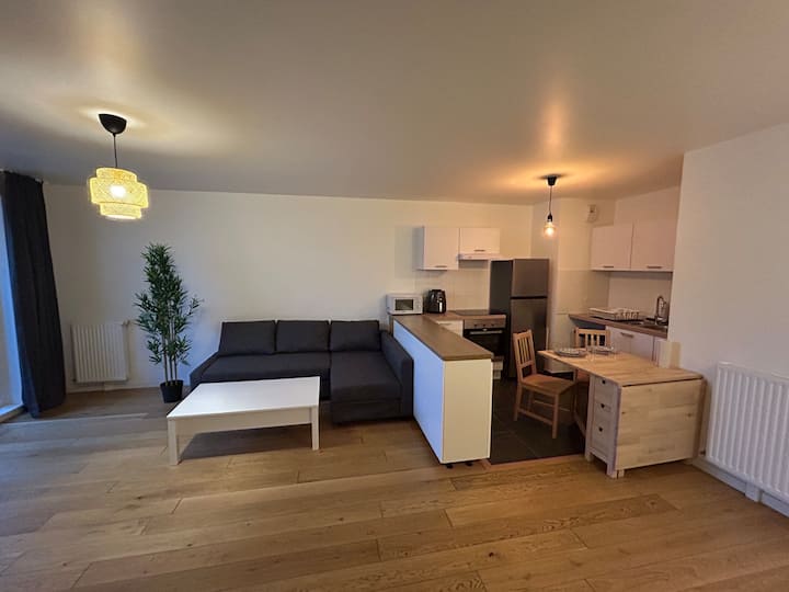 Appartement Familial/proche Paris/parking Privé - Saint-Ouen