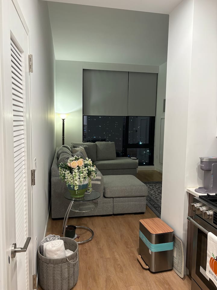 Luxurious 1 Bed Located In Downtown New Rochelle - Bronx, NY
