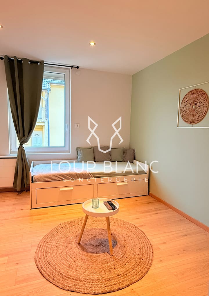 T2 Souplex Idéalement Situé Proche Techn'hom - Belfort