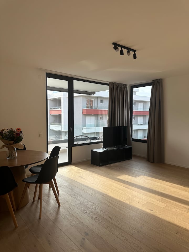 Live Lugano - Via Muggina - Two Rooms Flat - Lugano