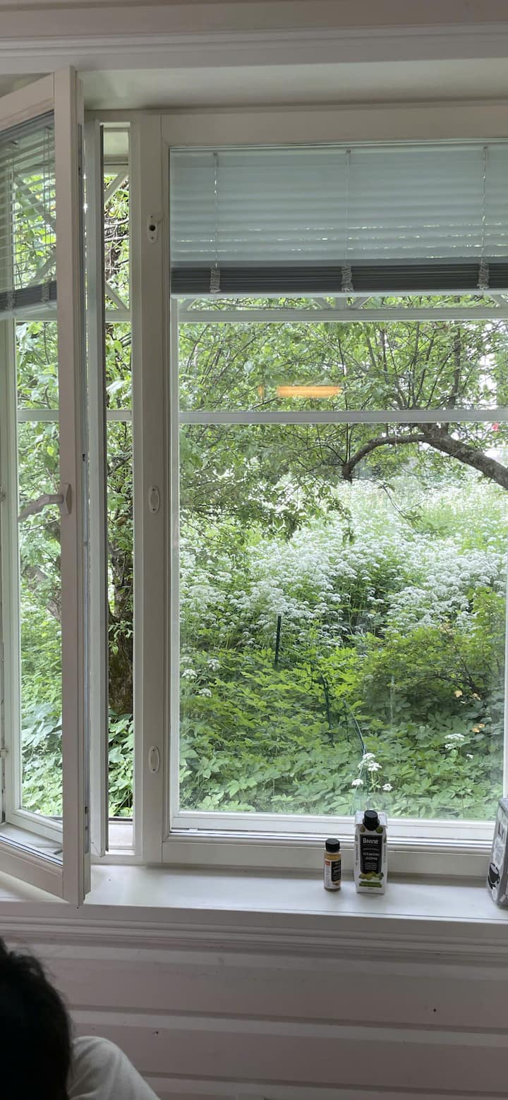 Cozy Villa 3brs, 2bath, Firer Place, Sauna @Center - Lohja