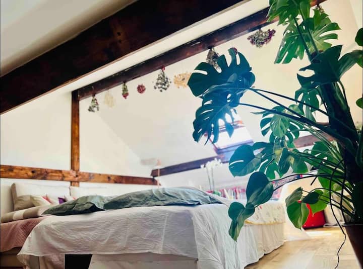 2 Bedrooms Greatly Located - Paris
