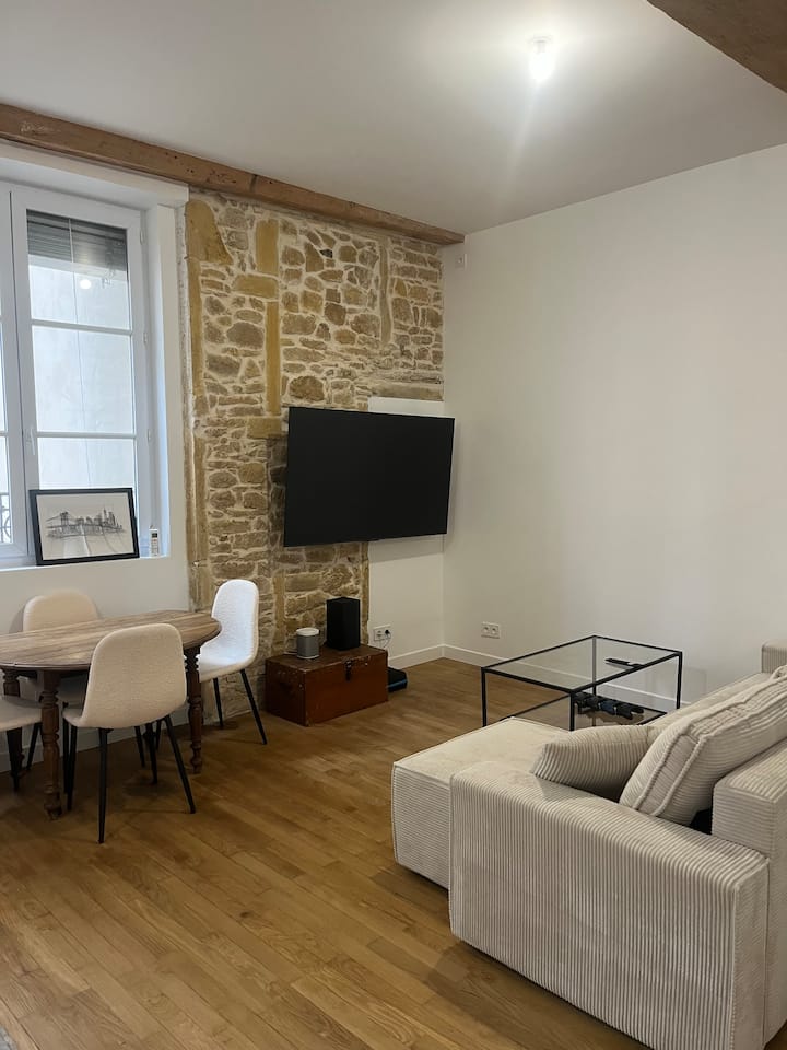 Appartement De Charme Entièrement Rénové - ibis Styles Lyon Centre Confluence