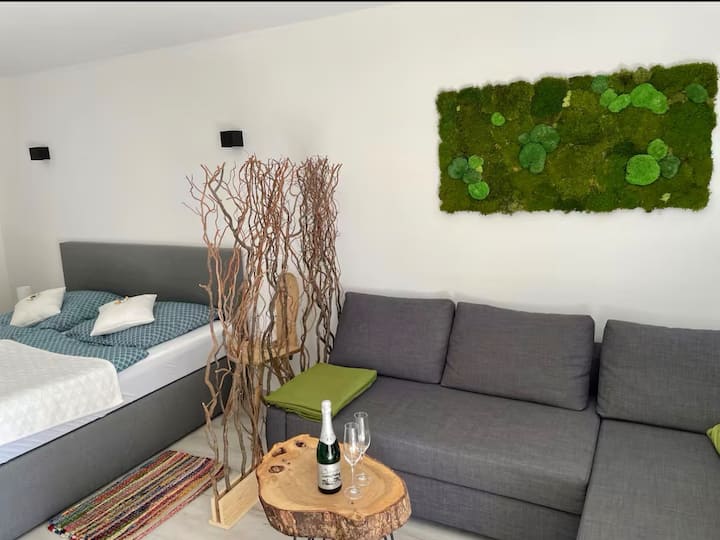 Modernes Studio16 Mit Bergblick Und Terrasse - Hausham