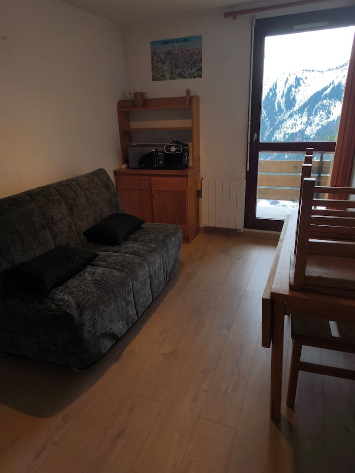 Appartement Au Pied Des Pistes De Ski - Samoëns