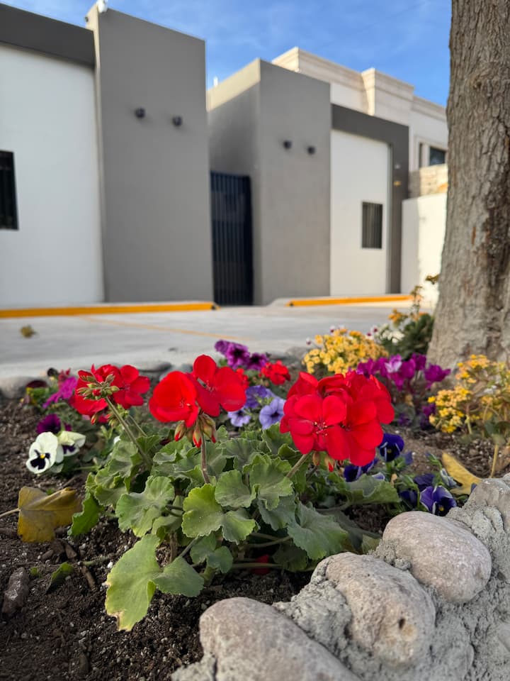 Casa Seis Flores - Rosa A - Delicias