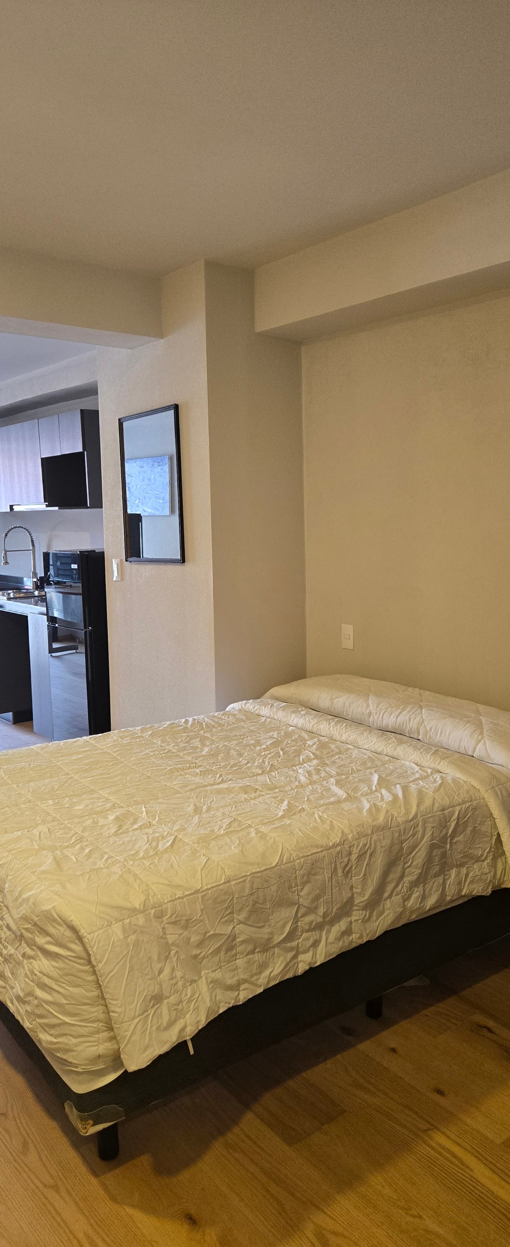 Loft hermoso, excelente ubicación, Colonia Roma N - Departamentos en ...