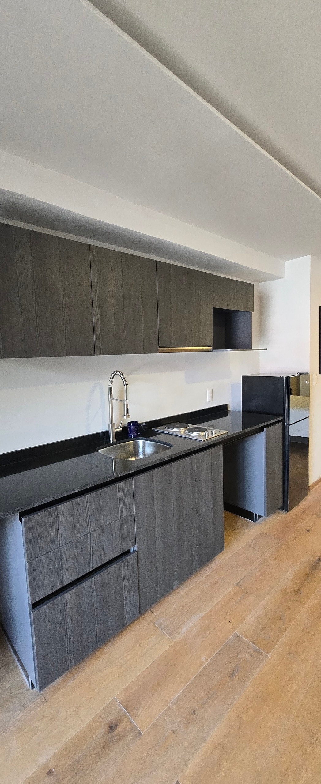 Loft hermoso, excelente ubicación, Colonia Roma N - Departamentos en ...