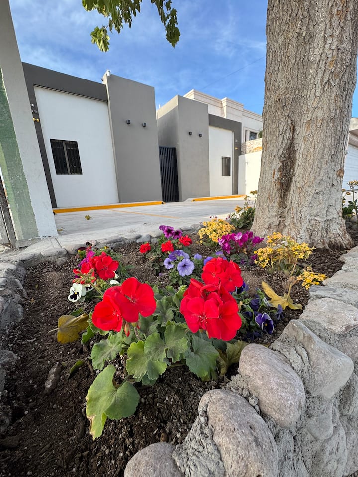 Casa Seis Flores - Esther D (Facturamos) - Delicias