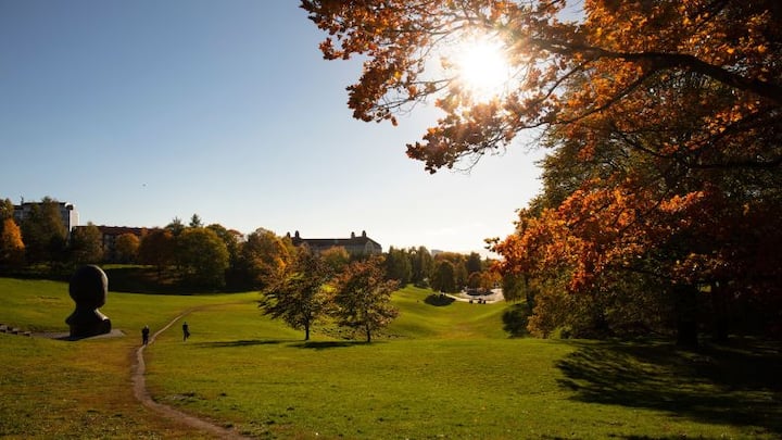 Sentral Og Koselig Leilighet - Oslo