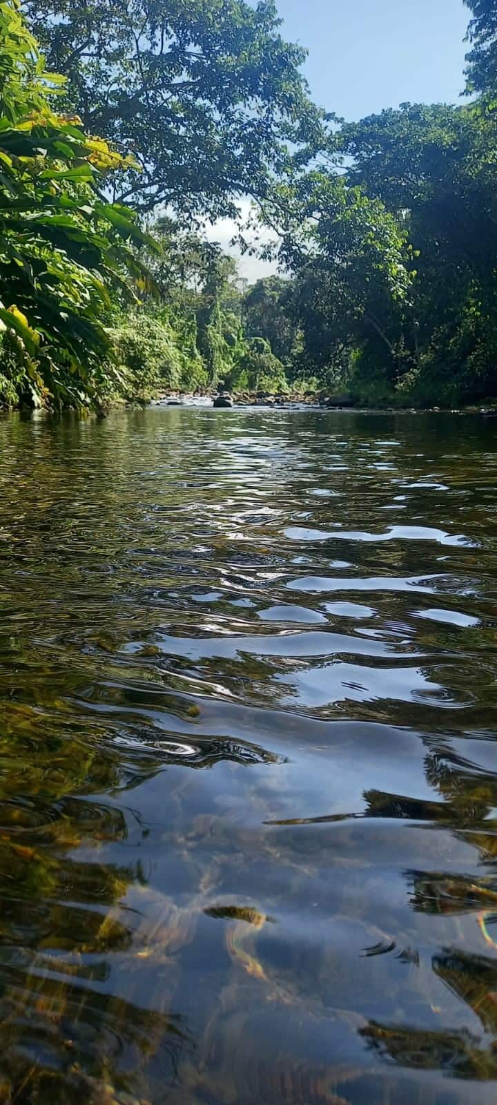 Pico Do Papagaio - Trindade, Rio de Janeiro