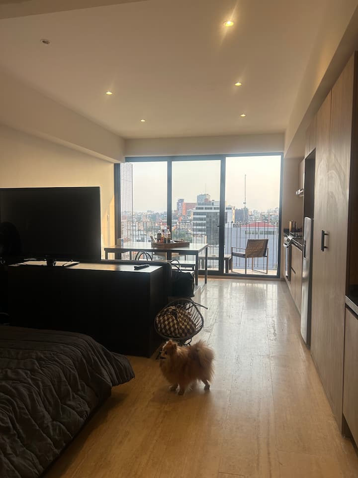 Loft En Colonia Roma Norte. La Mejor Ubicación. - Mexico-Stad