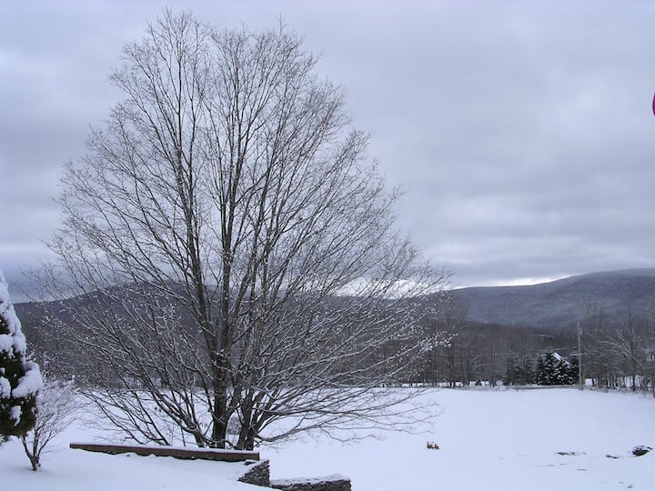 Mountain View Apartment - Fleischmanns, NY