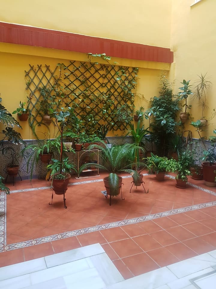 Alameda-escoberos, Dos Dormitorios Silenciosos - Seville