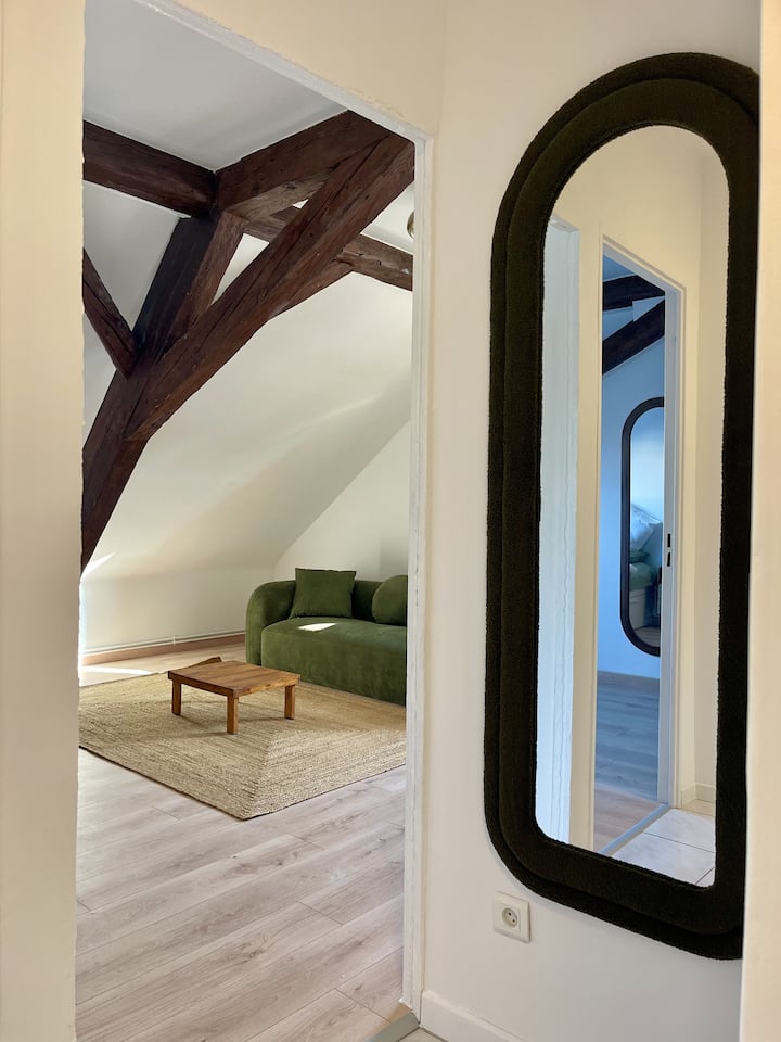 Loft Lumineux & Cosy – Mulhouse Centre - Ibis Styles Mulhouse Centre Gare
