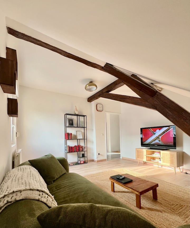 Loft Lumineux & Cosy – Mulhouse Centre - Mulhouse