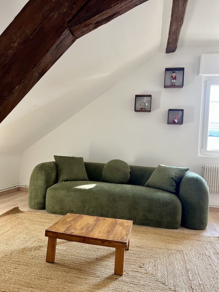 Loft Lumineux & Cosy – Mulhouse Centre - Mulhouse