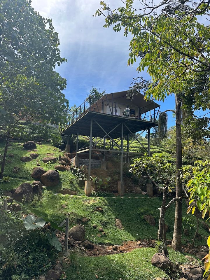 Recluse By The Stream - Kerala