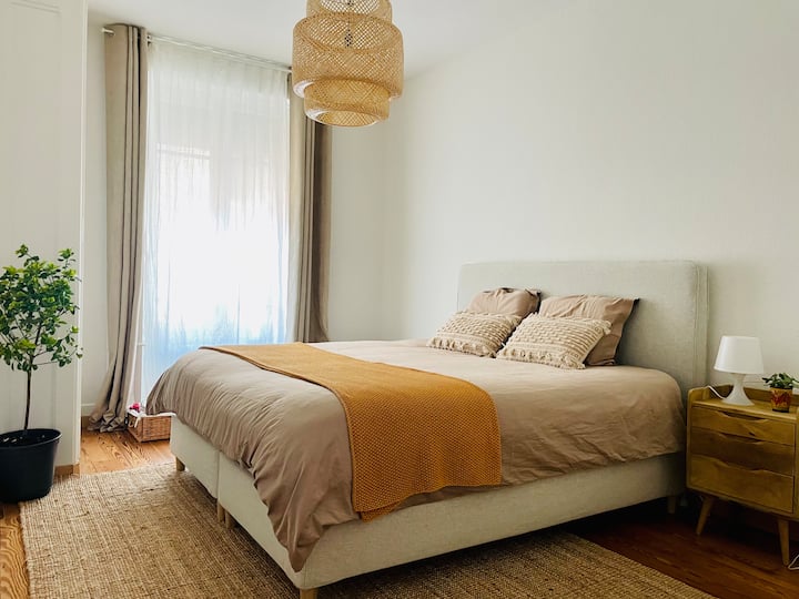 Beautiful Flat In A Central Location - Ginebra