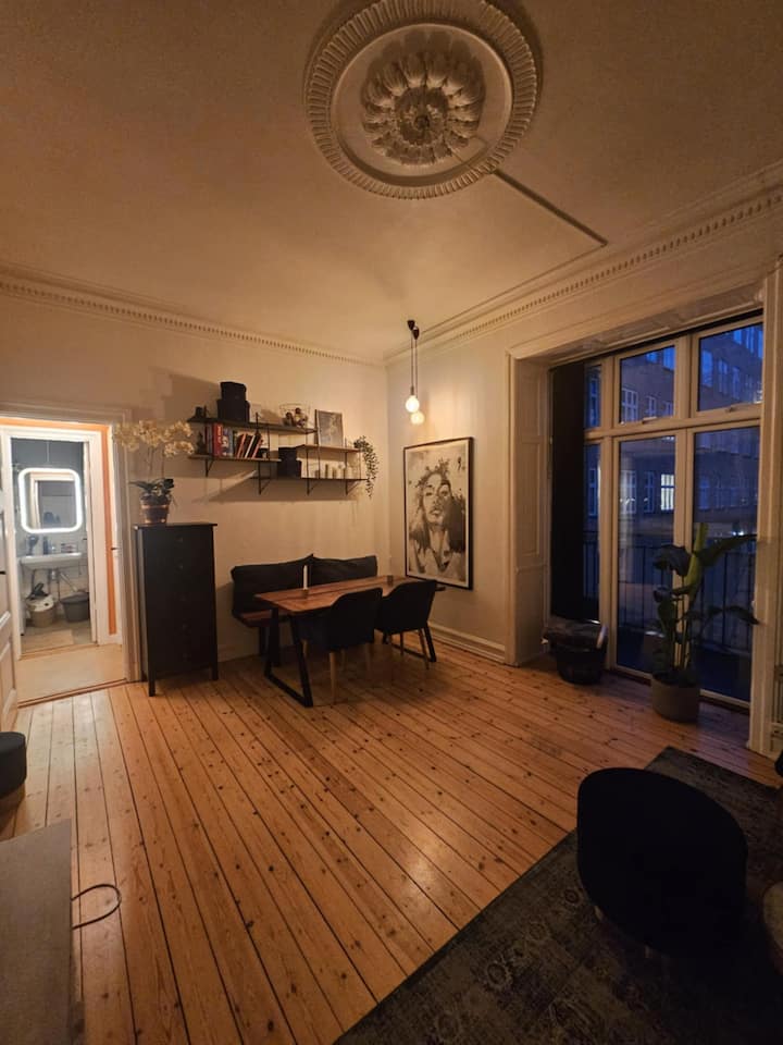 Classic Grand Copenhagen Studio Apartment - Copenhague