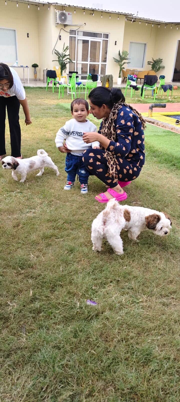 Farmhouse Cottages:-the Soulyard Farmstay - Gurgaon