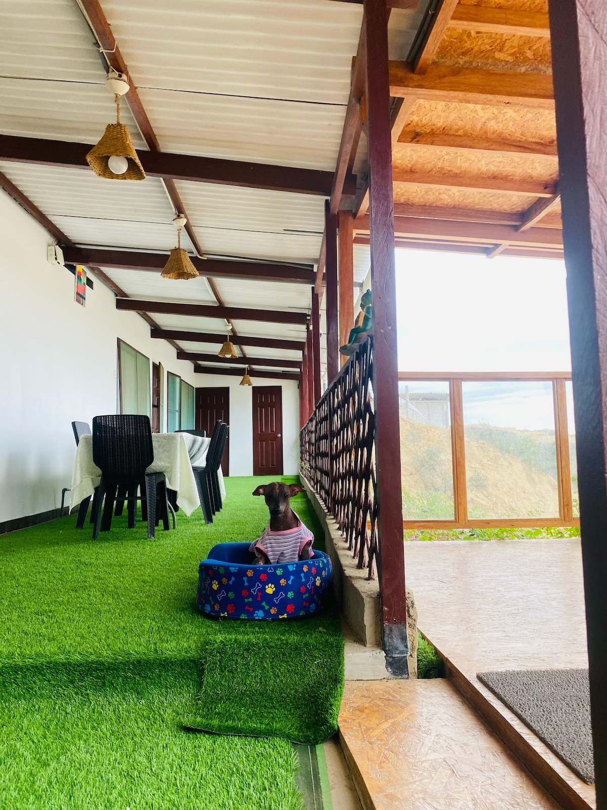 Terraza - Casas en alquiler en Contralmirante Villar, Tumbes, Perú - Airbnb