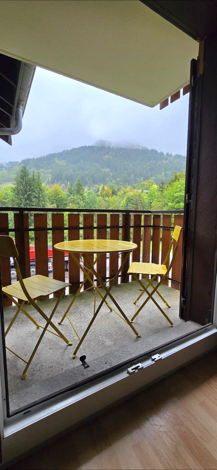 Charmant F1 Bis Pied Des Pistes - Bernex