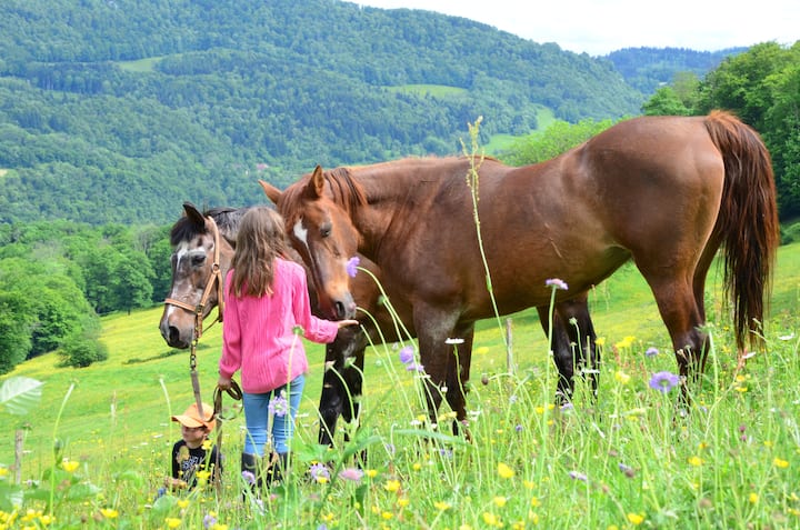 Gîte Exceptionnel "L'écrin Du Dessoubre" 10 Pers - Vaucluse