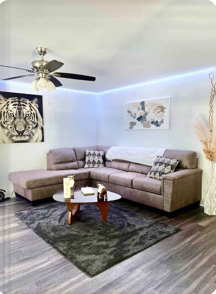 Modern Cozy 2br/1bth W Led Lighting Stylish Decor - Tampa