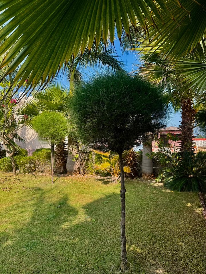 Villa Sol By Aachho - Rajasthan