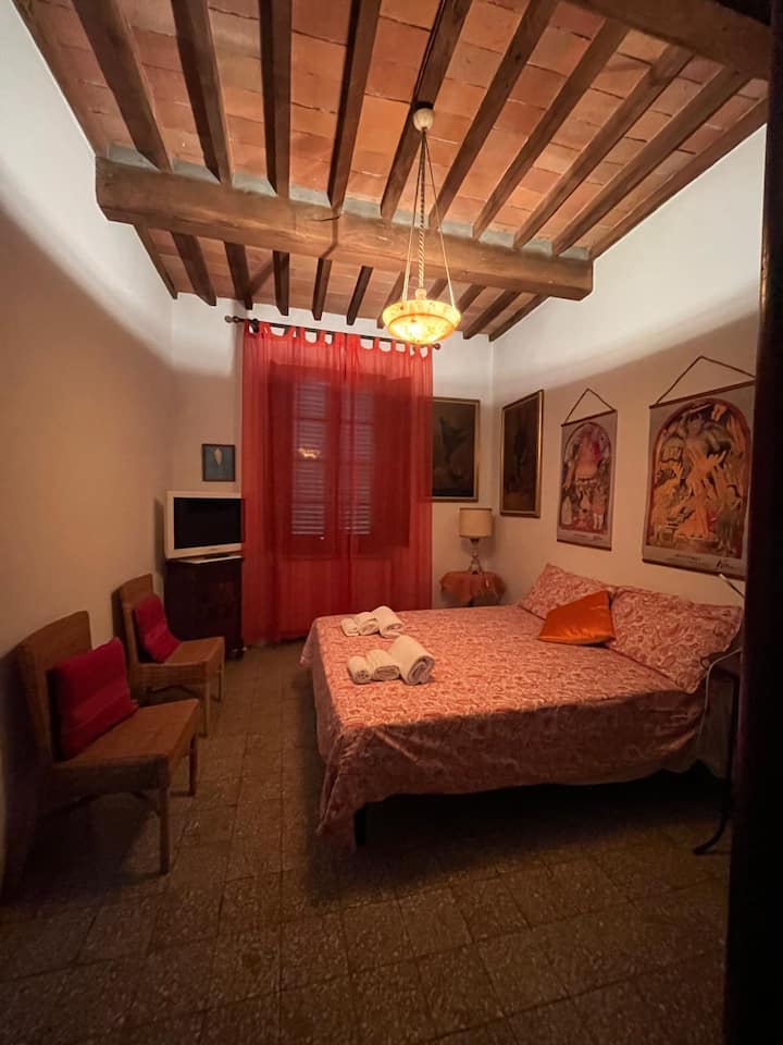 "Il Puzzle" - Appartamento Pietrasanta - Pietrasanta